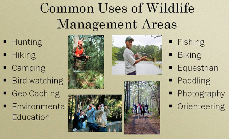 Wildlife Management Plan: Conservation and Tax Savings in Texas